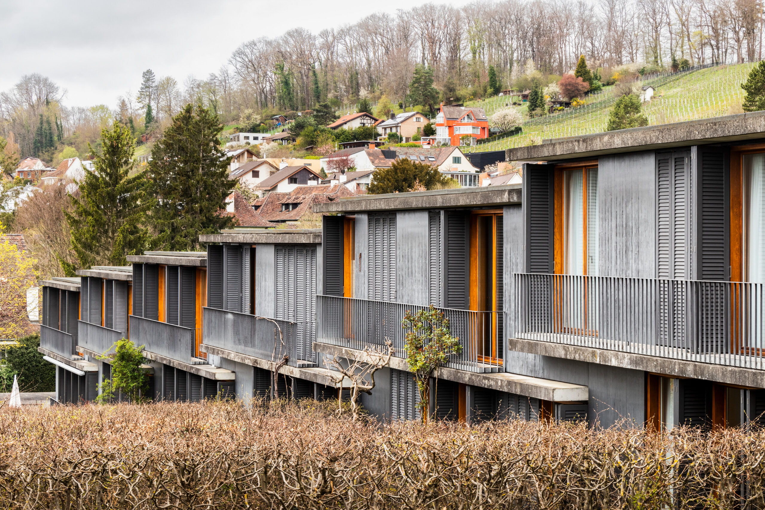 Wohnsiedlung Spittelhof - Architekturbibliothek